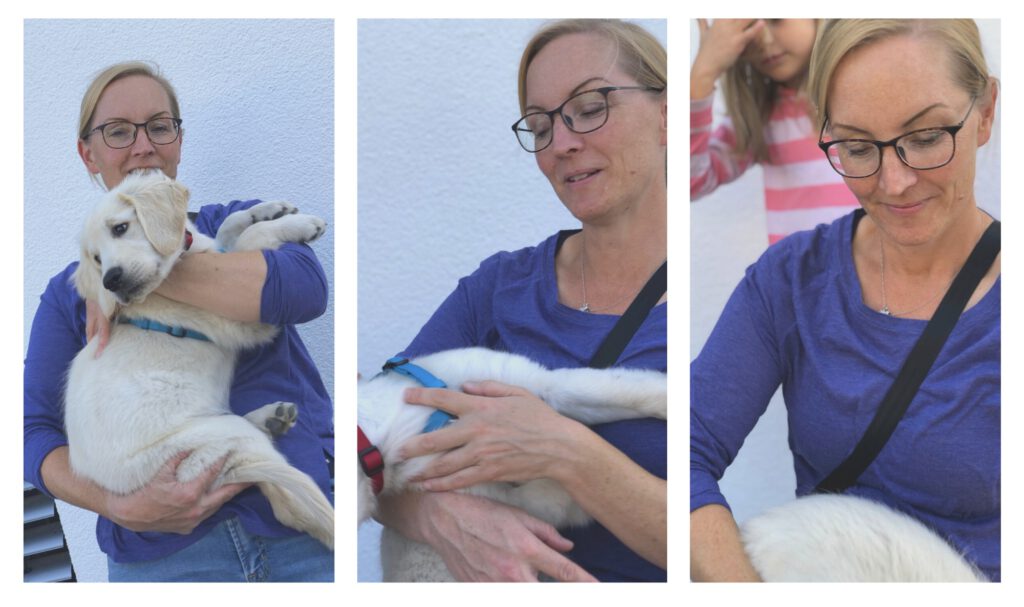 Five easy ways to create calm in the midst of chaos - Trainer, Coach ...